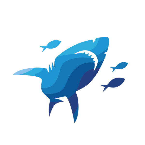Tiger Shark Migration Shifting as Oceans Warm - Atlantic Shark Expeditions