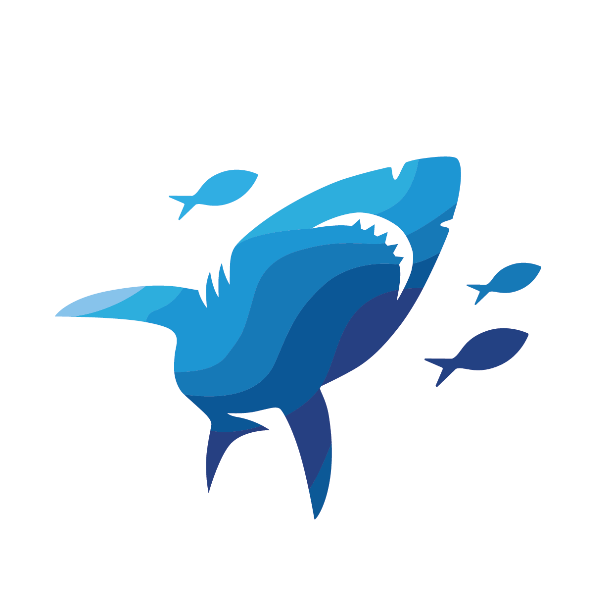 Expeditions Atlantic Shark Expeditions