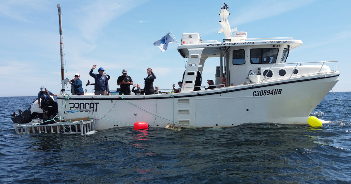 About - Atlantic Shark Expeditions